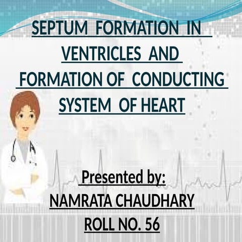 S3ptum formation in ventricles and formation of conducting system of heart | PPT