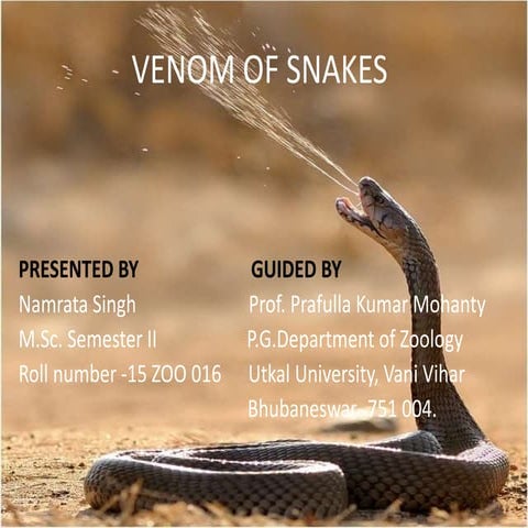 VENOM OF SNAKES . By - Namrata Singh | PPTX
