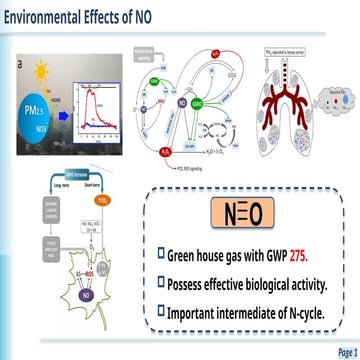 Nanocatalysts for NO removal and the mechanism study | PPT