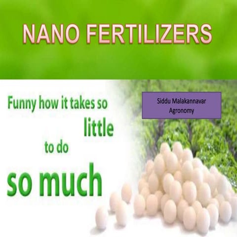 Nanofertlizers PPT SSM-1.pptx