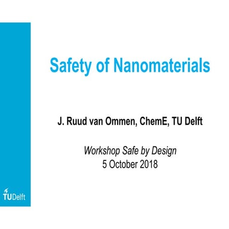 Safety of Nanomaterials | PDF