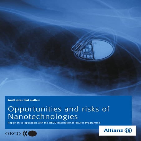 Opportunities And Risks Of Nanotechnologies | PDF