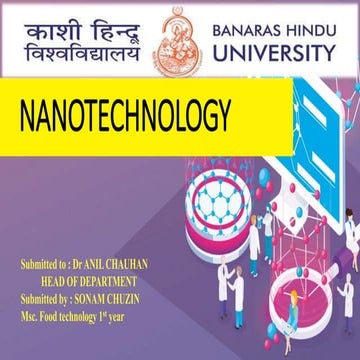 Nanotechnology - FOOD PROCESSING final copy.pptx