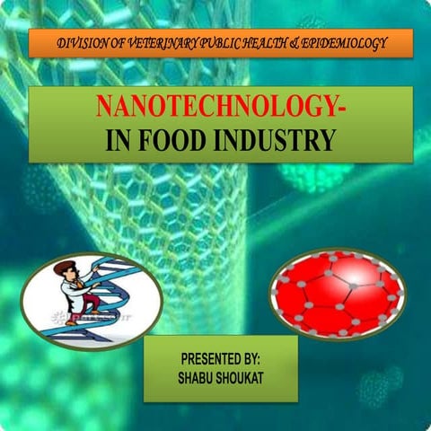 NANOTECHNOLOGY IN FOOD INDUSTRY.pptx