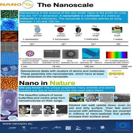 The Nanoscale | PDF