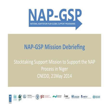 NAP-GSP - Niger Mission Debriefing | PPT