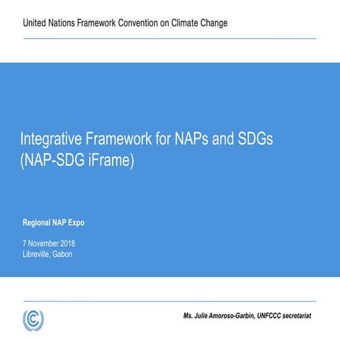 Integrative Framework for NAPs and SDGs (NAP-SDG iFrame) | PDF