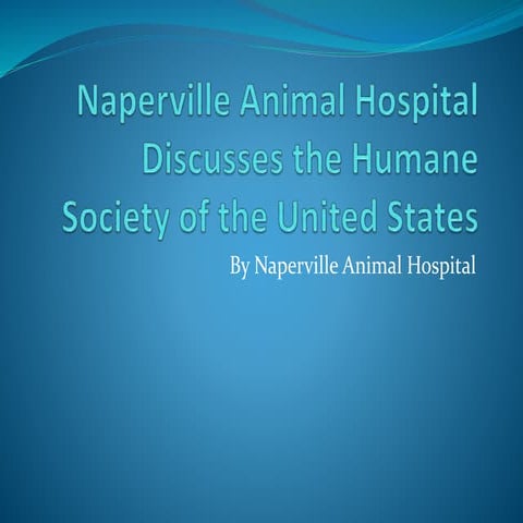 Naperville Animal Hospital Discusses the Humane Society of the United ...