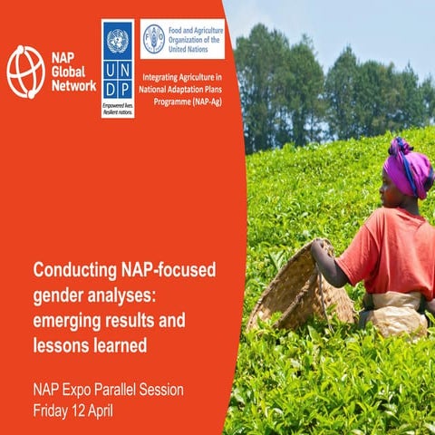 12.1.4 Strategic communication (NAP GN)- Gender session | PPT