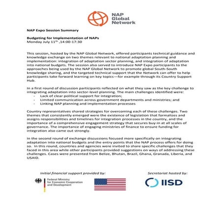 Budgeting for Implementation of NAPs | PDF