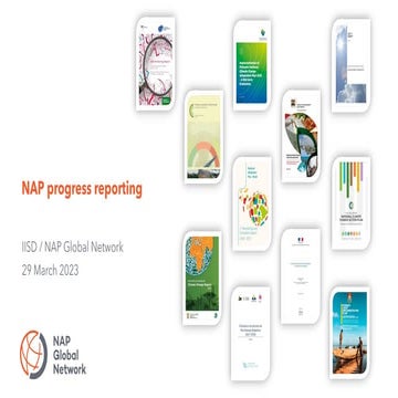 NAP progress reporting | PDF