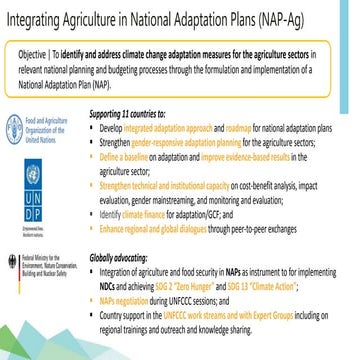 National adaptation planning (NAP) processes and EbA | PPT