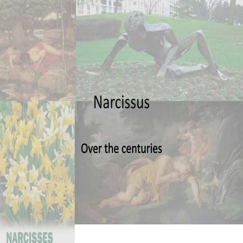 Narcissus | PPTX