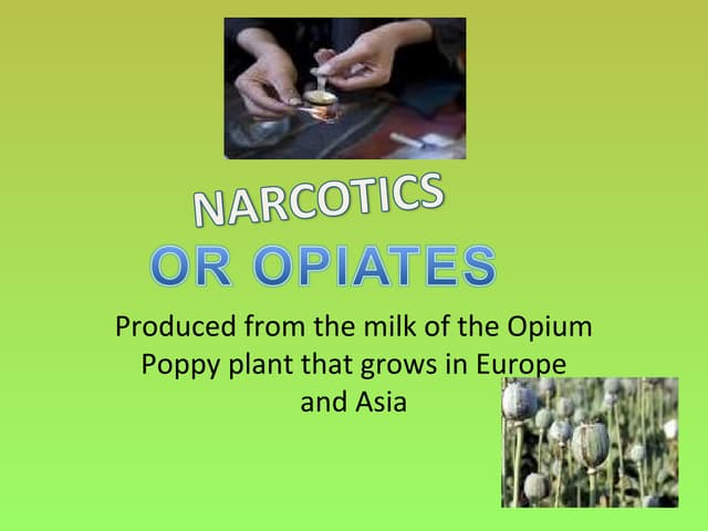Narcotics Examples