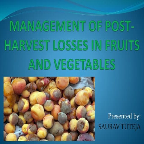 Management of Post-Harvest Losses in Fruits and Vegetables | PPT