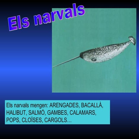 Narval | PPT