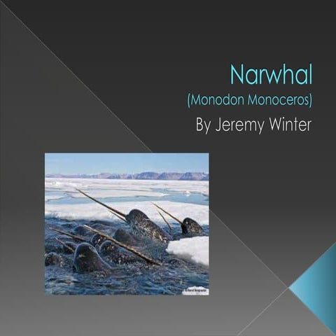 Narwhal integrated studies | PPTX