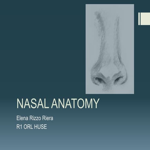 Nasal_Anatomy.pdf