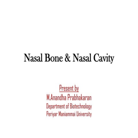 Nasal bone & nasal cavity | PPTX