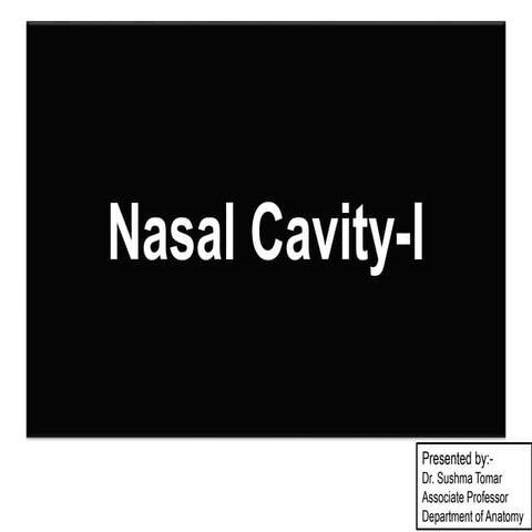 planes and language of human anatomy .pptx