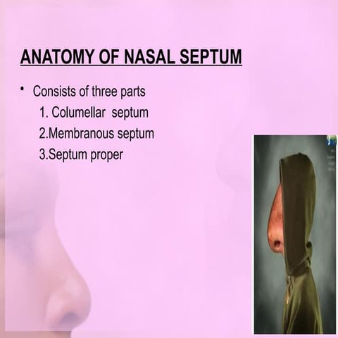 nasal septum new update from dhingra.pptx