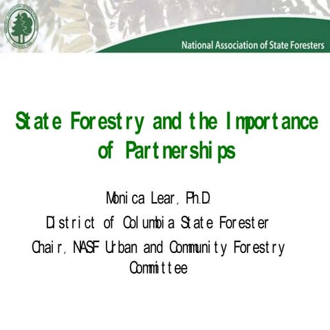 Tudlo presentation | PDF