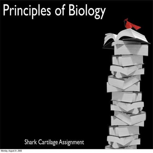 Principles of Biology | PDF