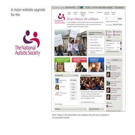 NAS Website Upgrade 2010 | PDF | Web Development | Internet