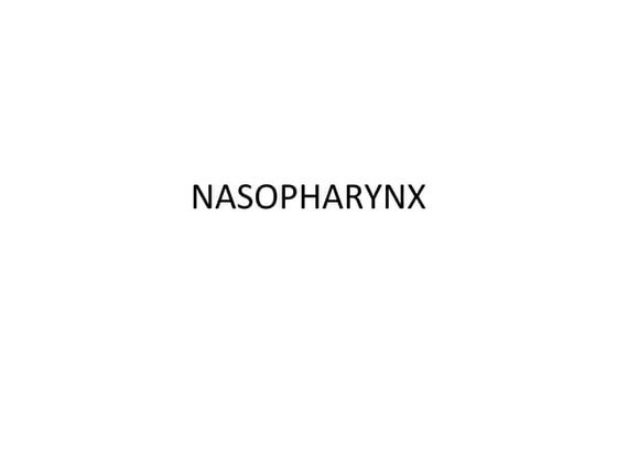Anatomy of nasopharynx | PPTX