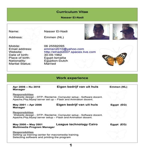 Nasser cv combinedfiles | PDF