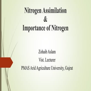 N Assimilation & Importance of Nitrogen for Plants.pdf