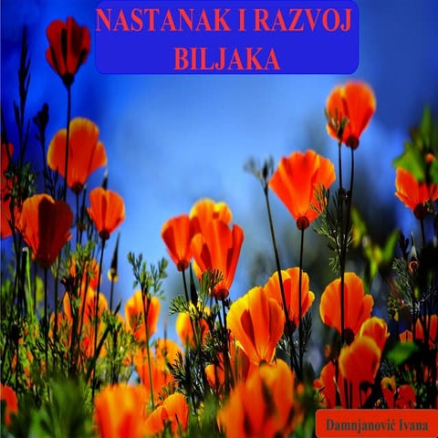 Gradja biljaka | PPTX