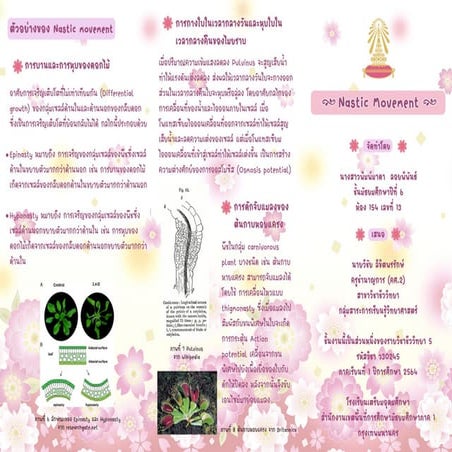 แผ่นพับ Nastic movement 13:154 | PDF