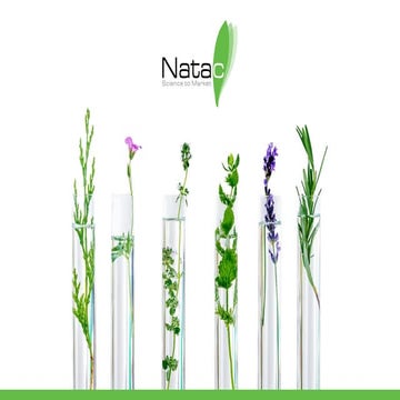 natac-presentacion-inversores-def pres.pdf