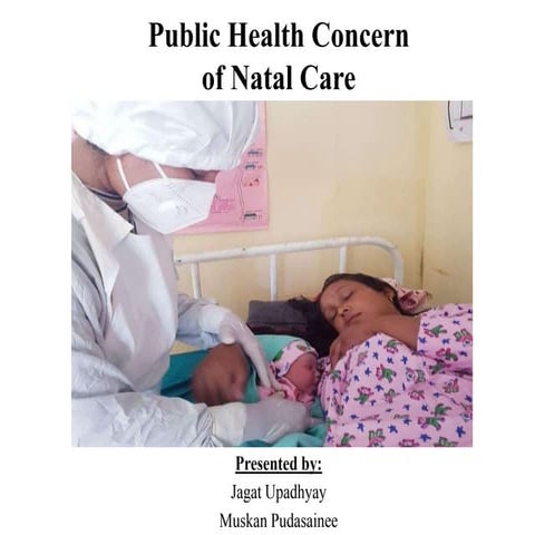 Emergency Obstetrics And Neonatal Care Pptx