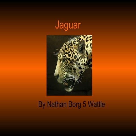 Jaguar reading comprehension.pdf