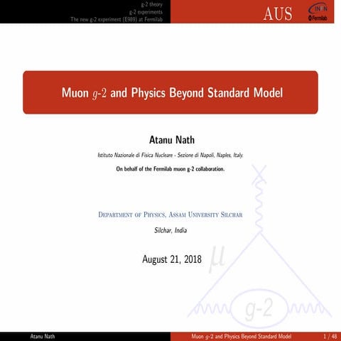 Muon g-2 and Physics Beyond Standard Model | PDF