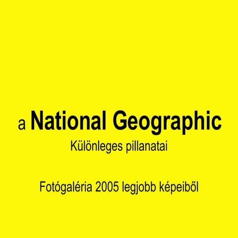 NATIONAL GEOGRAPHIC 2005 | PPS