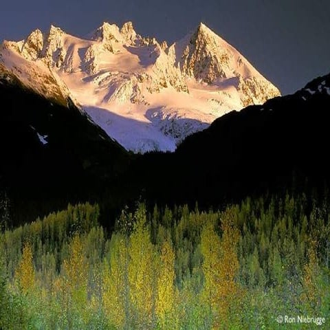 National Park Of Kenai | PPS