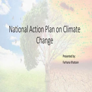 National Action Plan.pptx
