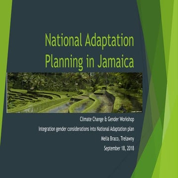 National Adaptation Planning in Jamaica | PDF