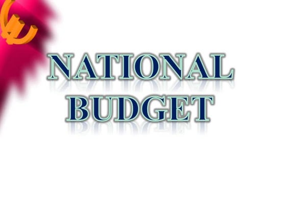 The Philippine National Budget Process.pptx