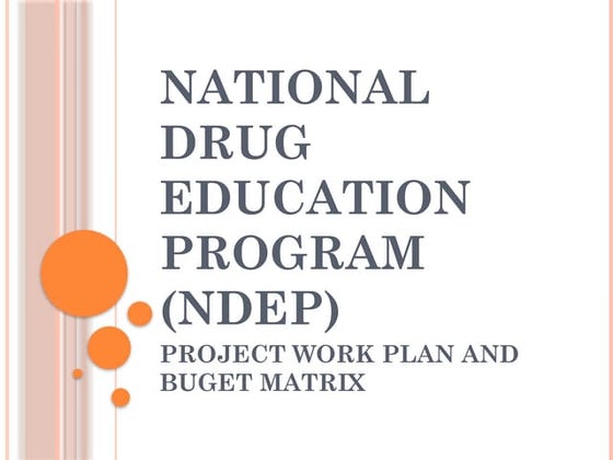 NDEP Action Plan.docx