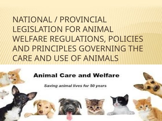 Animal Welfare Act 2006 | DOCX