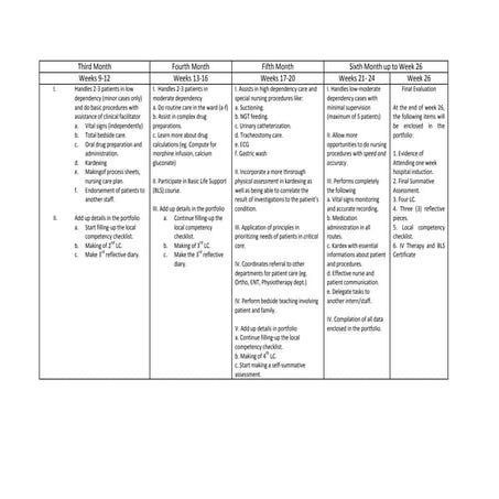National nursing internship program pathway | DOCX