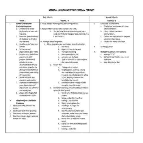 National nursing internship program pathway | DOCX