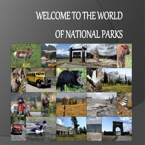 National Parks PPT | PPTX