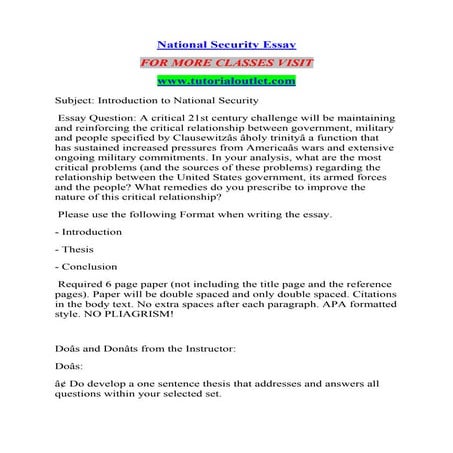 NATIONAL SECURITY ESSAY / TUTORIALOUTLET DOT COM | PDF