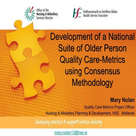 National Suite of Older Persons - Mary Nolan | PDF