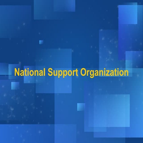 National support organization | PPT